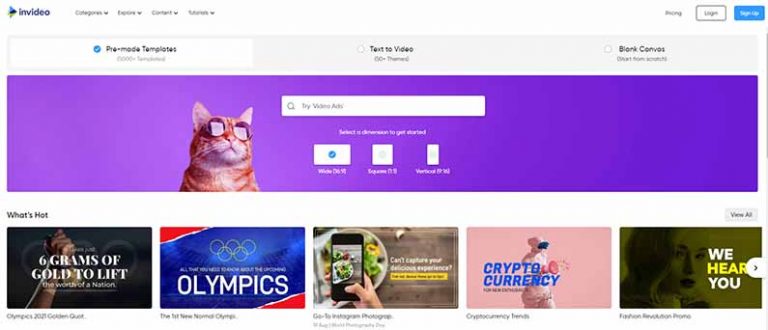 Invideo + Invideo AI Review 2026: Does it Match the HYPE?