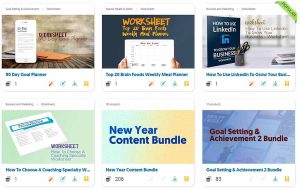 Best PLR Planners (Digital or Printable) to Resell 2025
